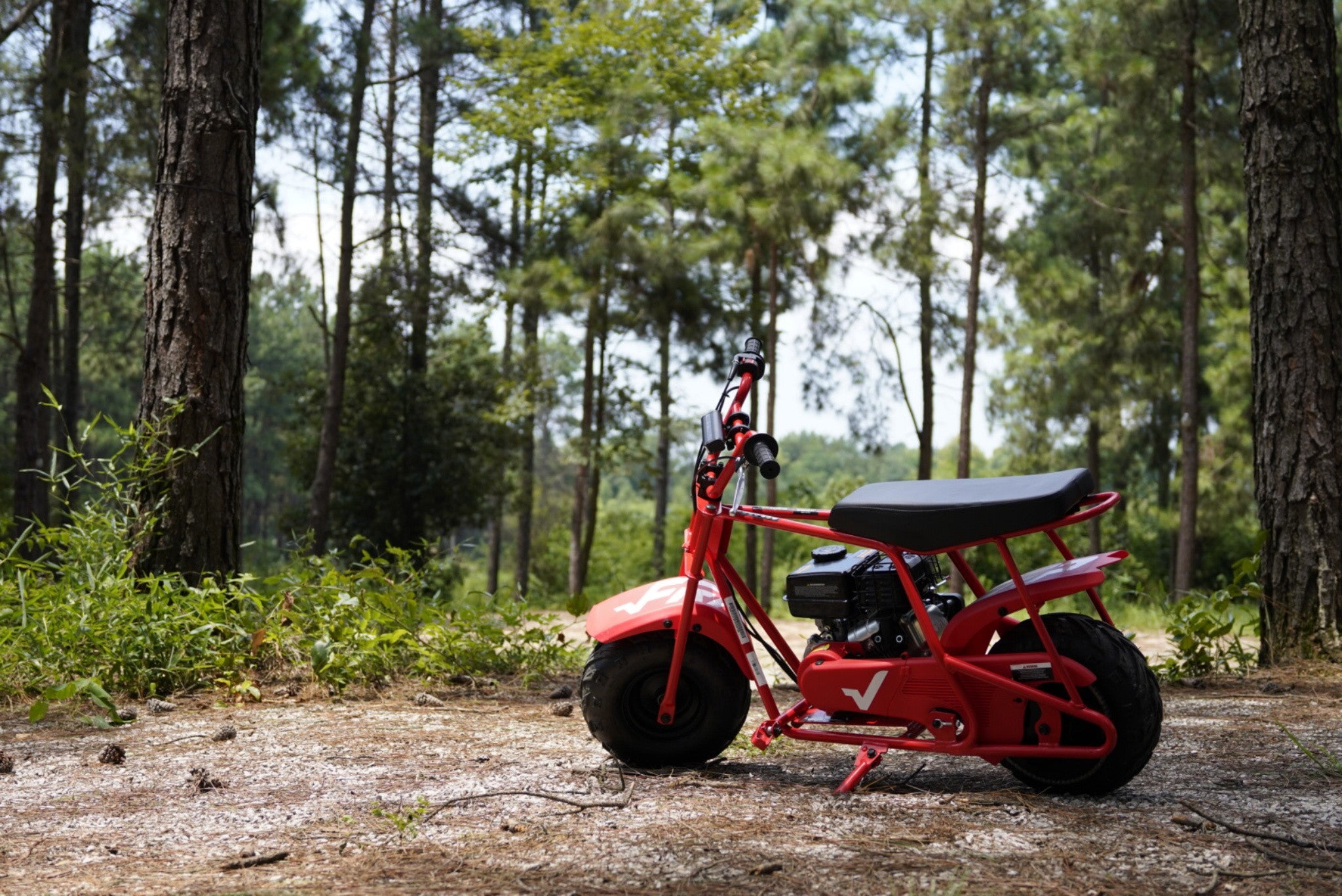 Fall Mini-Biking: A Colorful Adventure for Kids – FRP Official Site